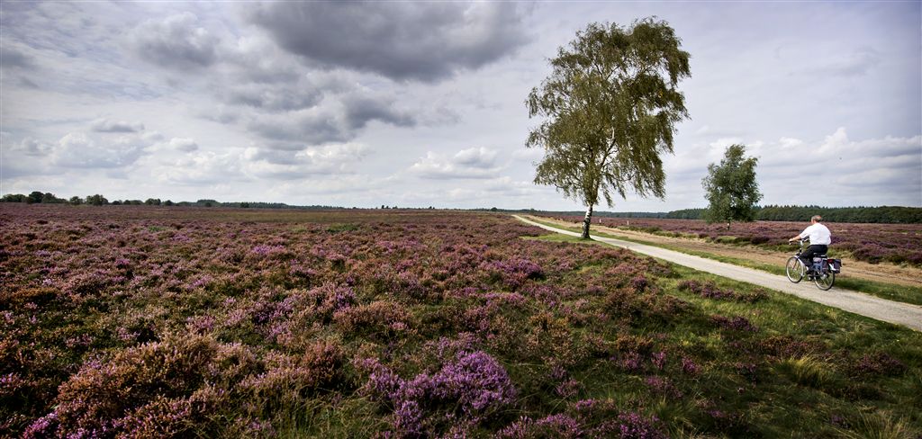 Heisessie op de Veluwe | Reserveer direct uw heisessie